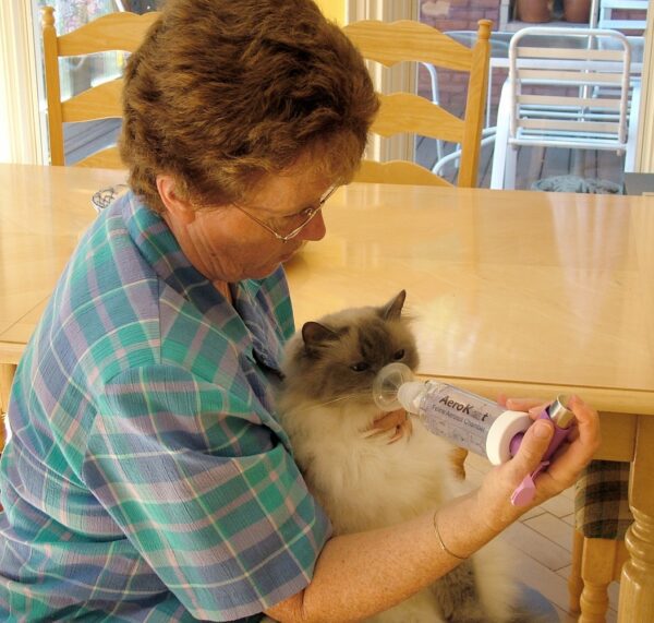 AeroKat Chamber - BreathEazy