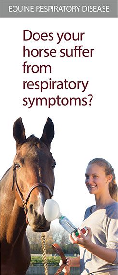 AeroHub - BreathEazy