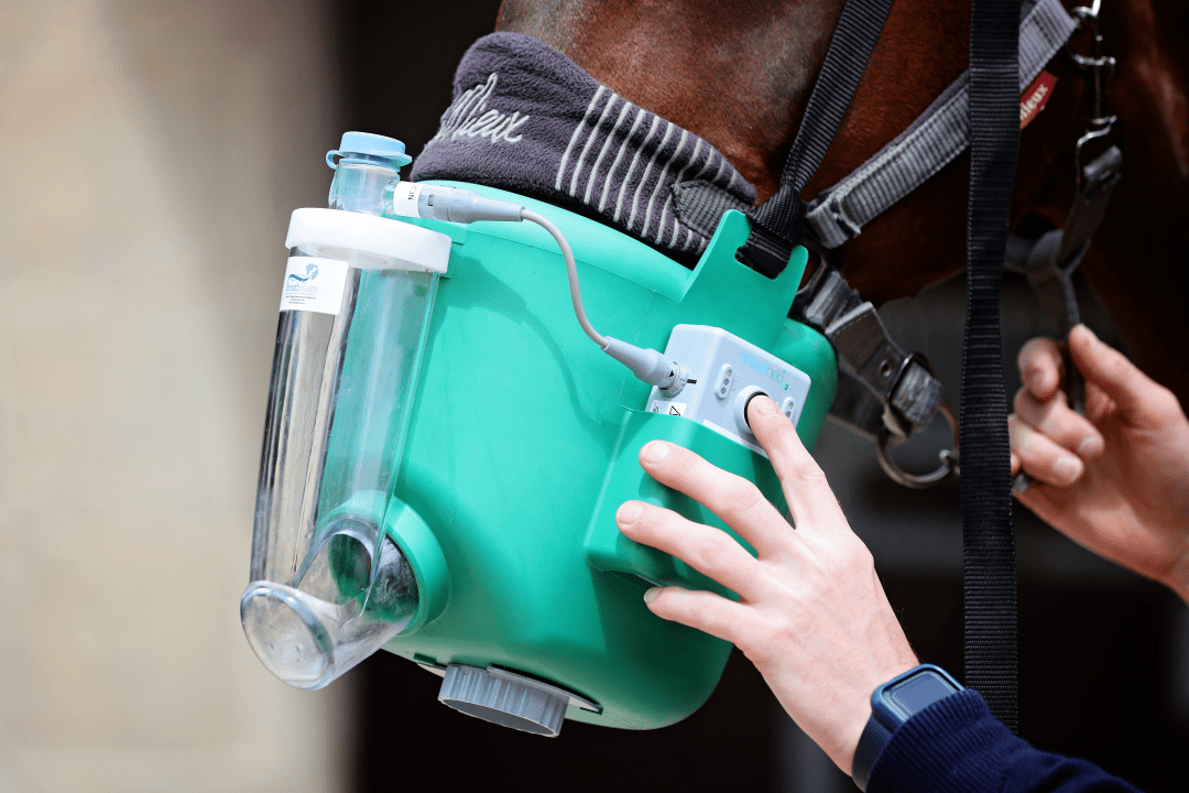 How to keep your horse’s breathing at its best - BreathEazy